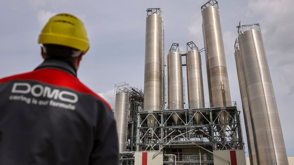 Chemie: Domo-Chef: Chemie braucht stärkeren politischen Fokus