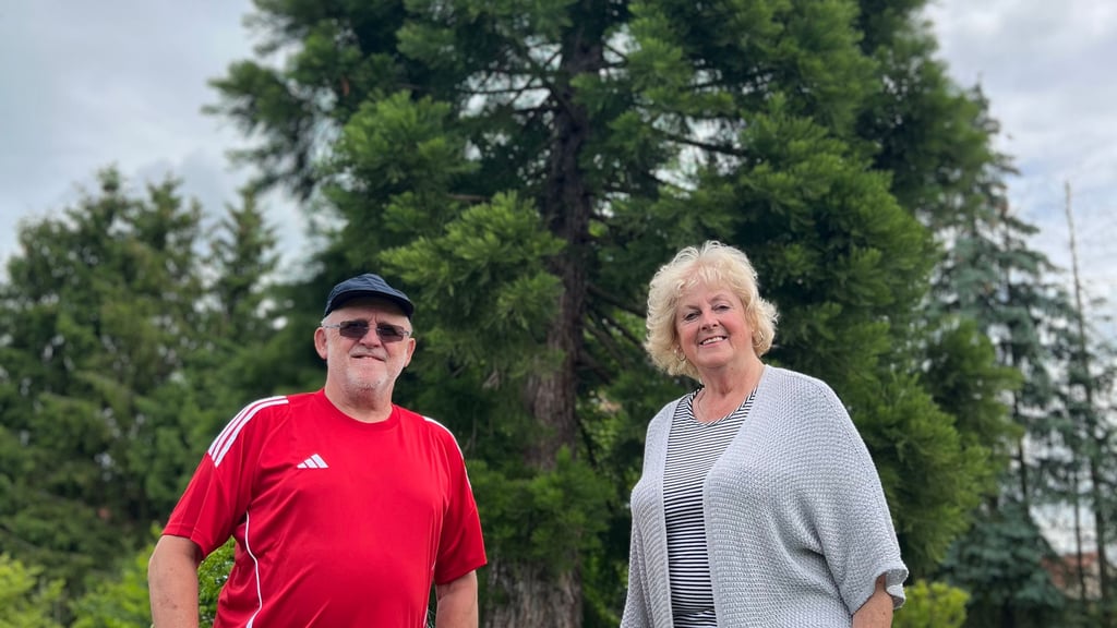 Kurioses Hobby: Mammutbaum-Zucht im Harz: Hobbygärtner Klaus Trapp ...