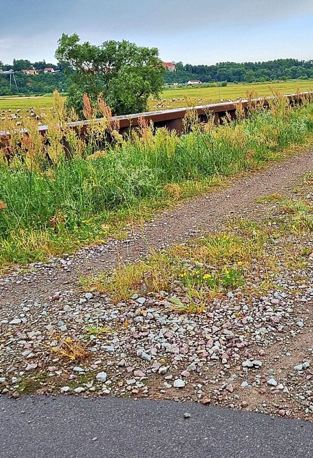 Arleenelee porn the image on the site was evidently not the