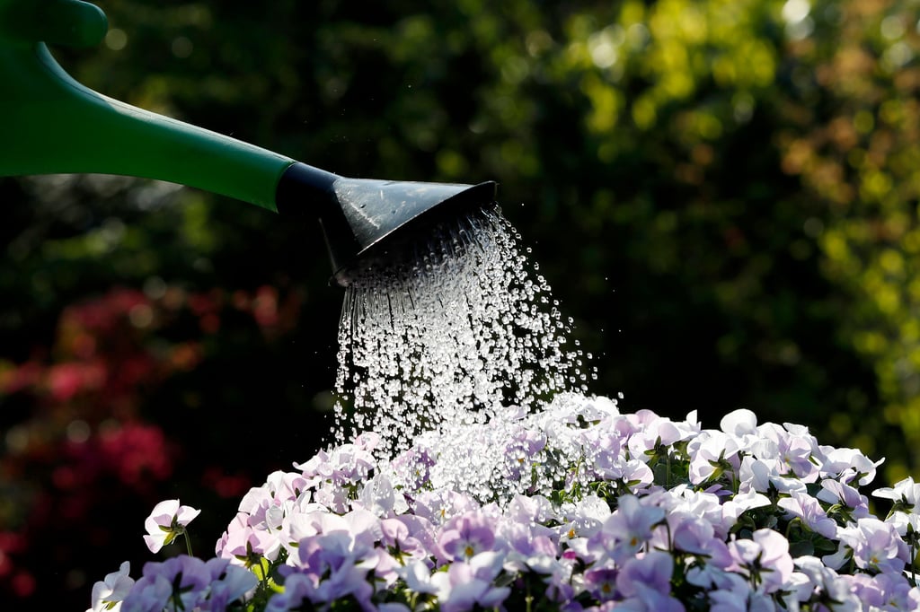 Bokep jepan com i once set up to see Sasha on the day of my