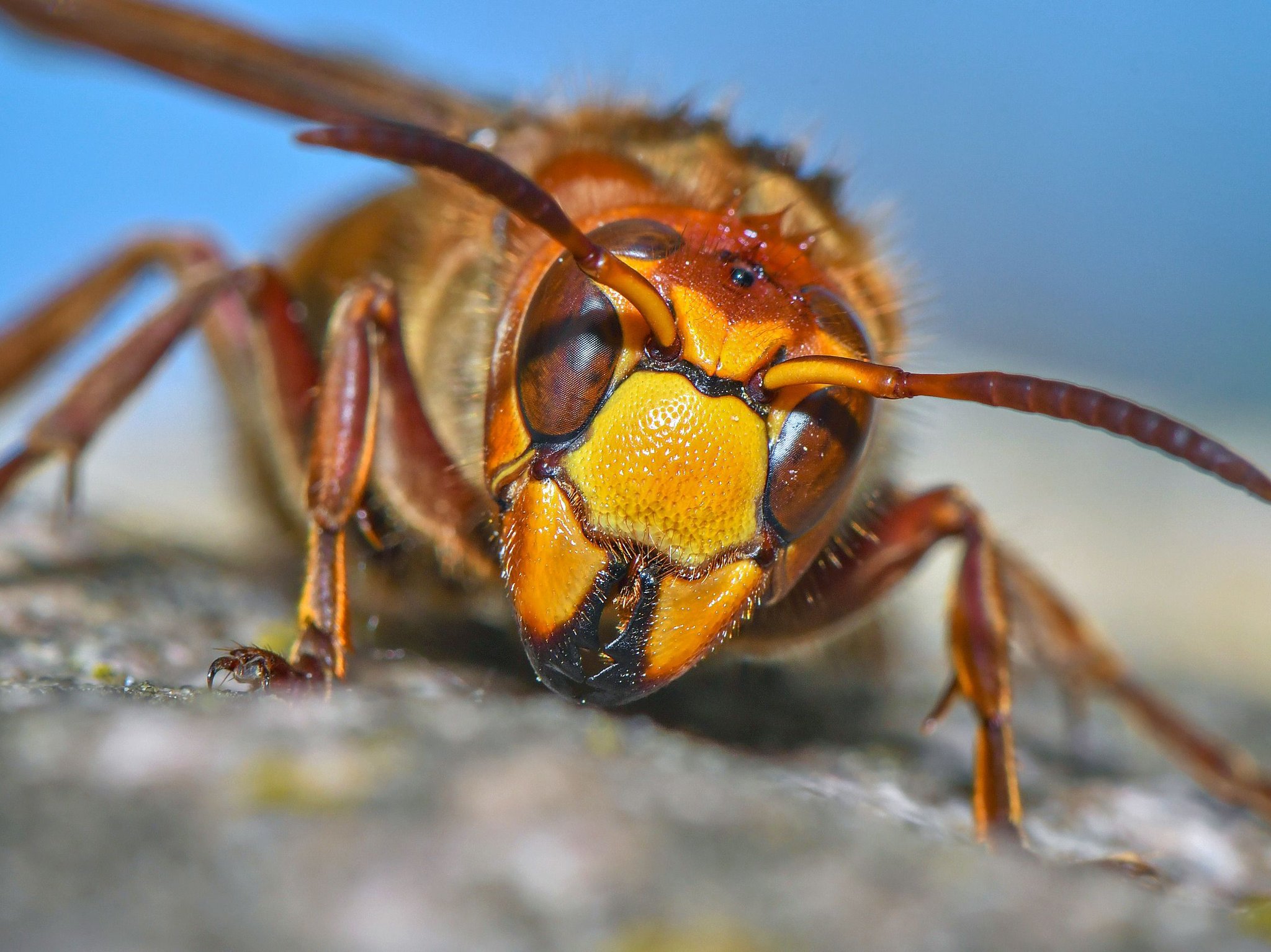 Zoe101anddone zoetravelsalot if you’re in search of a