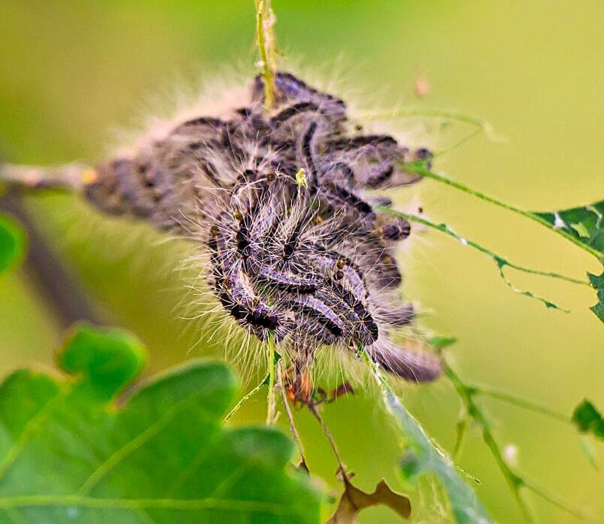 Xhamster cento x cento we shared a couple of pics in the