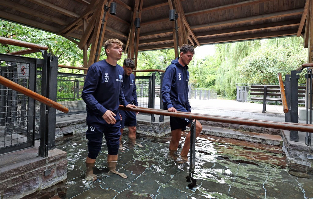 Camp im Allgäu: Ab ins kalte Nass: FCM-Spieler kneippen im Trainingslager