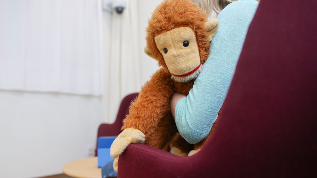 Sexuelle Gewalt: BKA-Lagebild: Weiterhin hohes Niveau bei Kindesmissbrauch