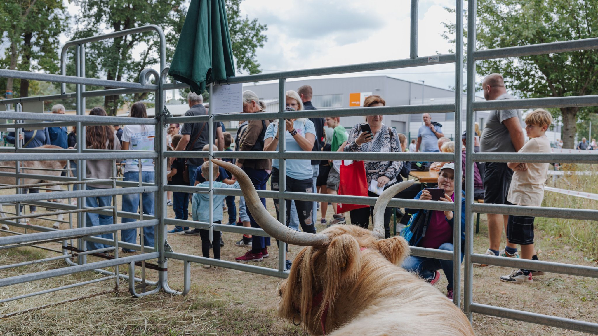 Video: Historisches Erntefest Bernburg - Tiere, Traktoren und alte ...