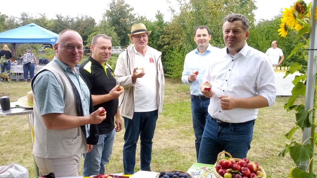 Rekordernte in der Börde: Gratis-Obst frisch vom Baum wartet vor der ...