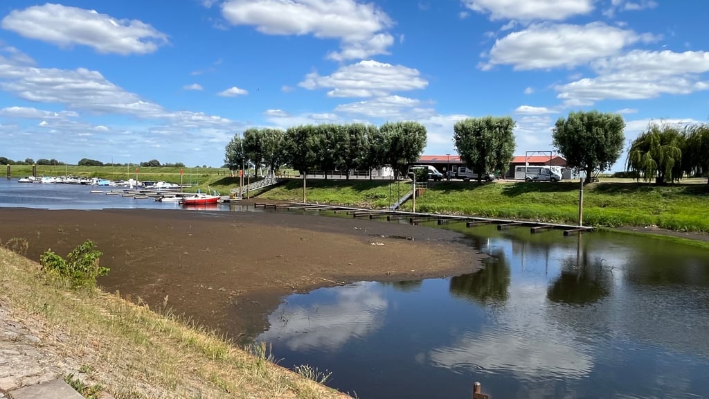 Zu wenig Wasser über dicker Schlammschicht: Tangermünde ...